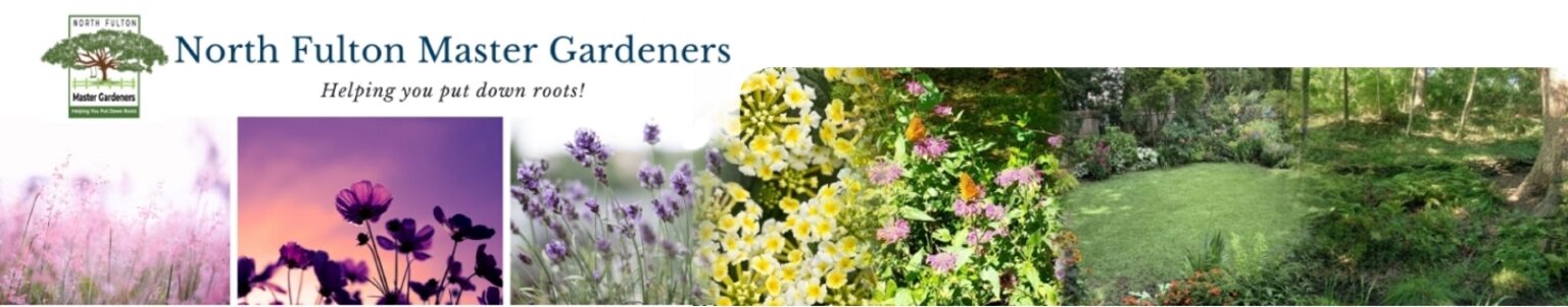 Events from June 7 – November 23, 2024 – North Fulton Master Gardeners